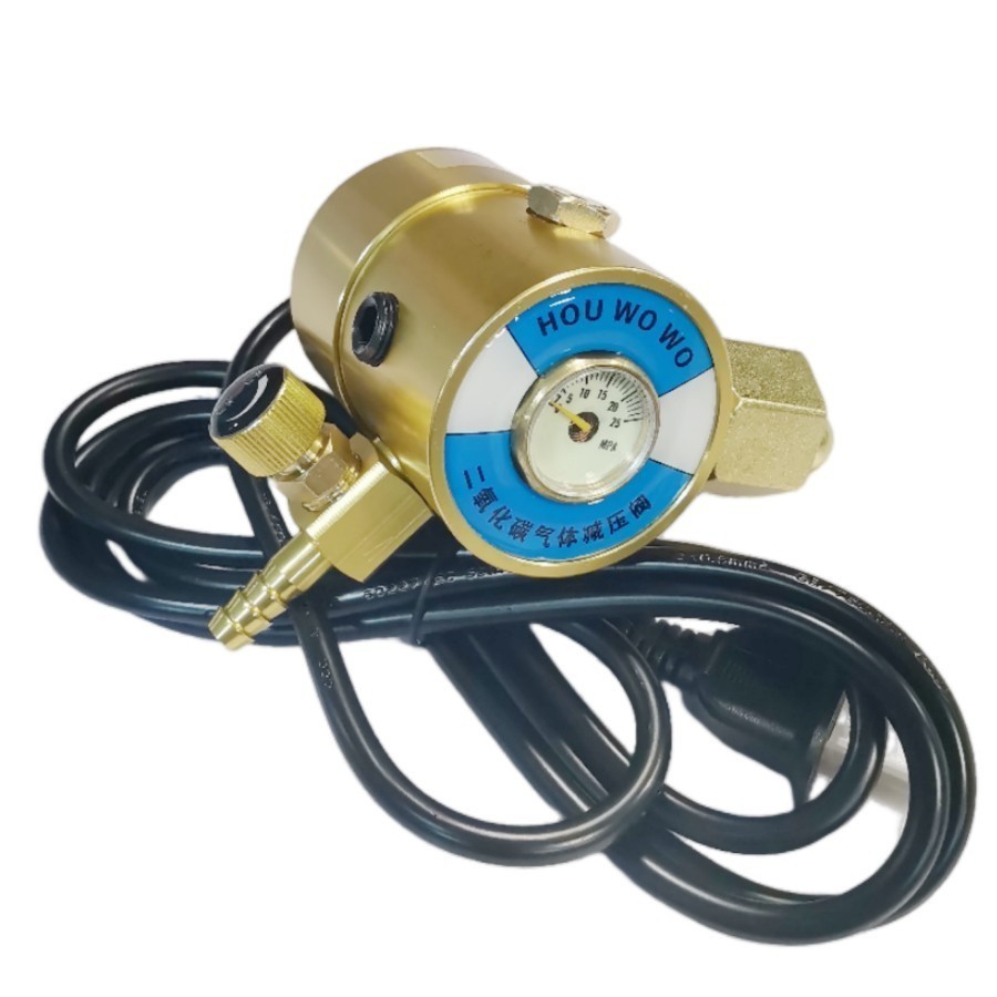 Anti-damaged Anti-drop 110V 220v Carbon Dioxide Gas Regulator Co2 ...