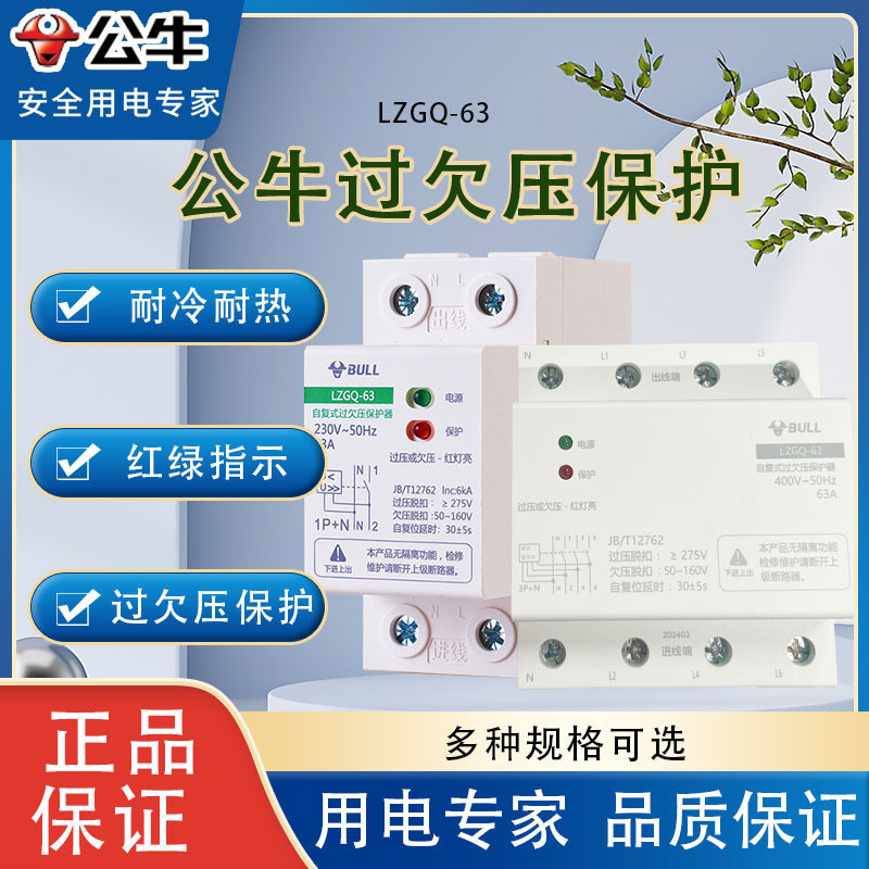 Self-replica Over-Voltage Protector 220V Household Lightning Protection ...