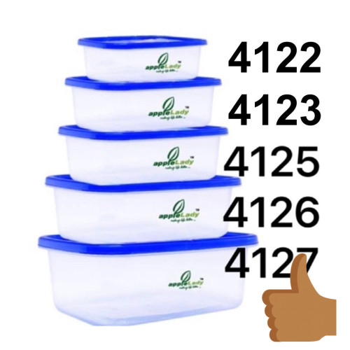 4126 Lunch Box Picnic BPA Free 30cm Clear Picnic Food Container Bekas ...