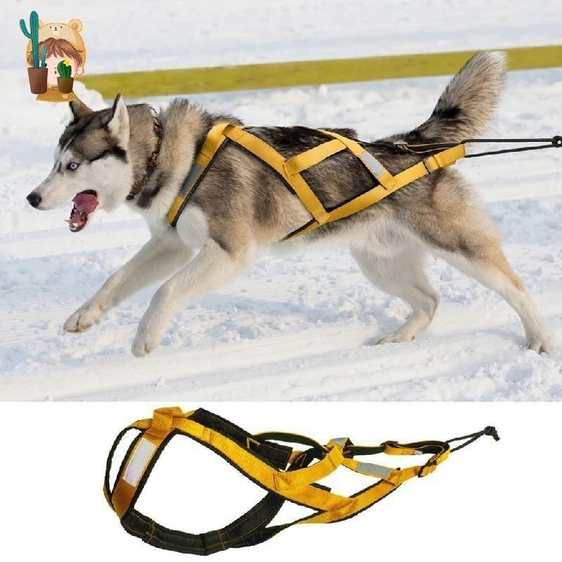 waterproof,Pet traction harness, dog sled harness,Sleding Harness, dog ...