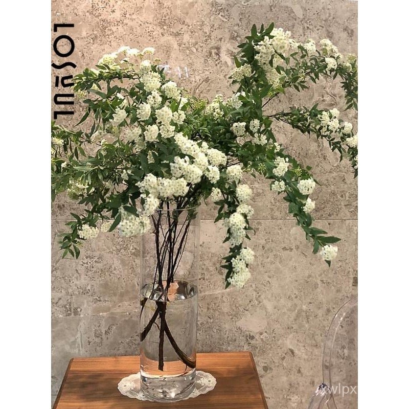 Snow Willow Potongan Segar Bola Tangan Kecil Gred A Bunga Segar ...