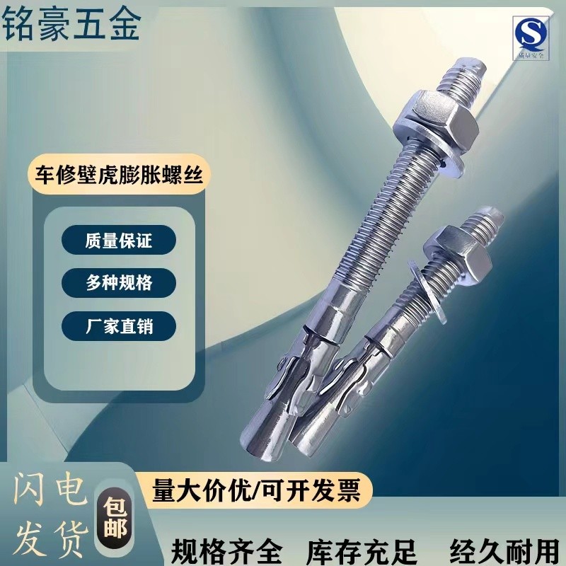 National Standard Galvanized Car Repair Gecko Expansion Screw Elevator ...