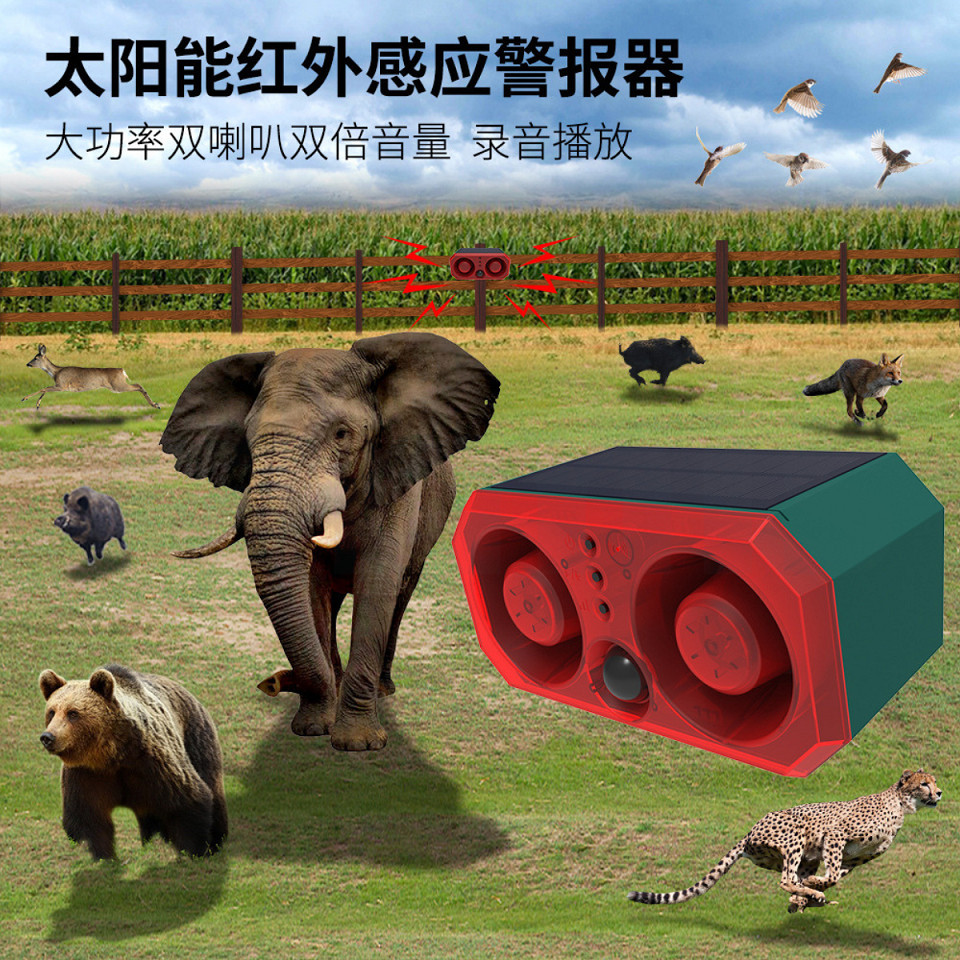 Solar Sound & Strobe Light Alarm 20s Sound Record Gunshot & Dog Barking ...