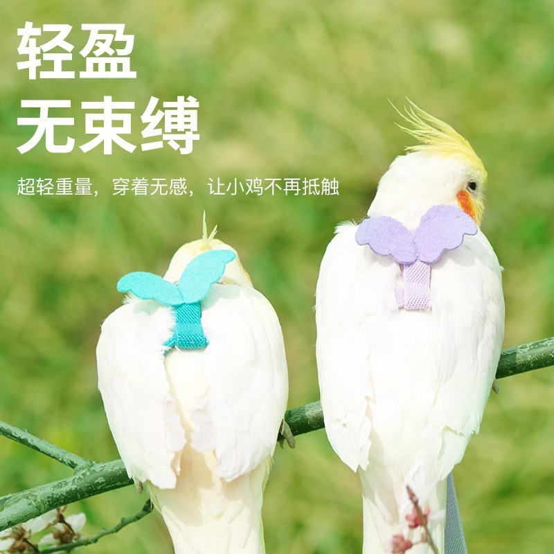 Small Pet Traction Rope Parrot Flying Rope Bird Walking Handy Tool ...