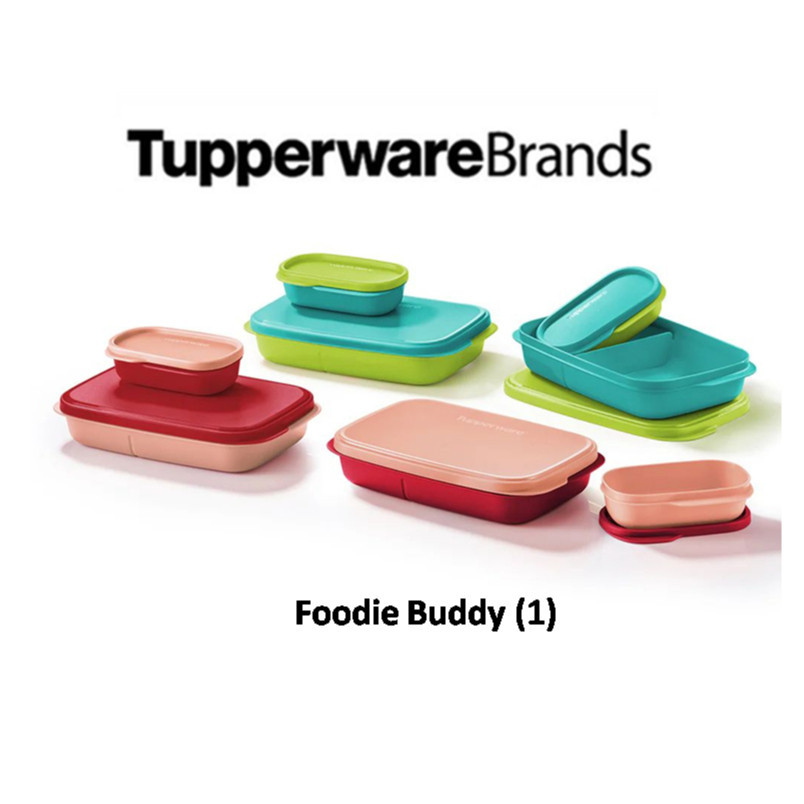 Tupperware Foodie Buddy (1Piece) / 1 Set (4 pieces ) ColorFul Choice ...