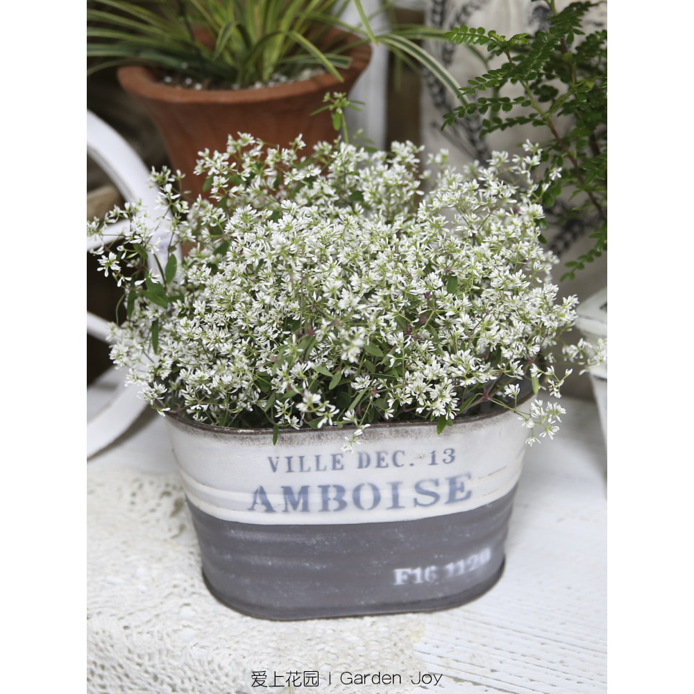 Jatuh cinta dengan taman | Bekalan Berkebun Hiasan Dinding Taman Pasu ...