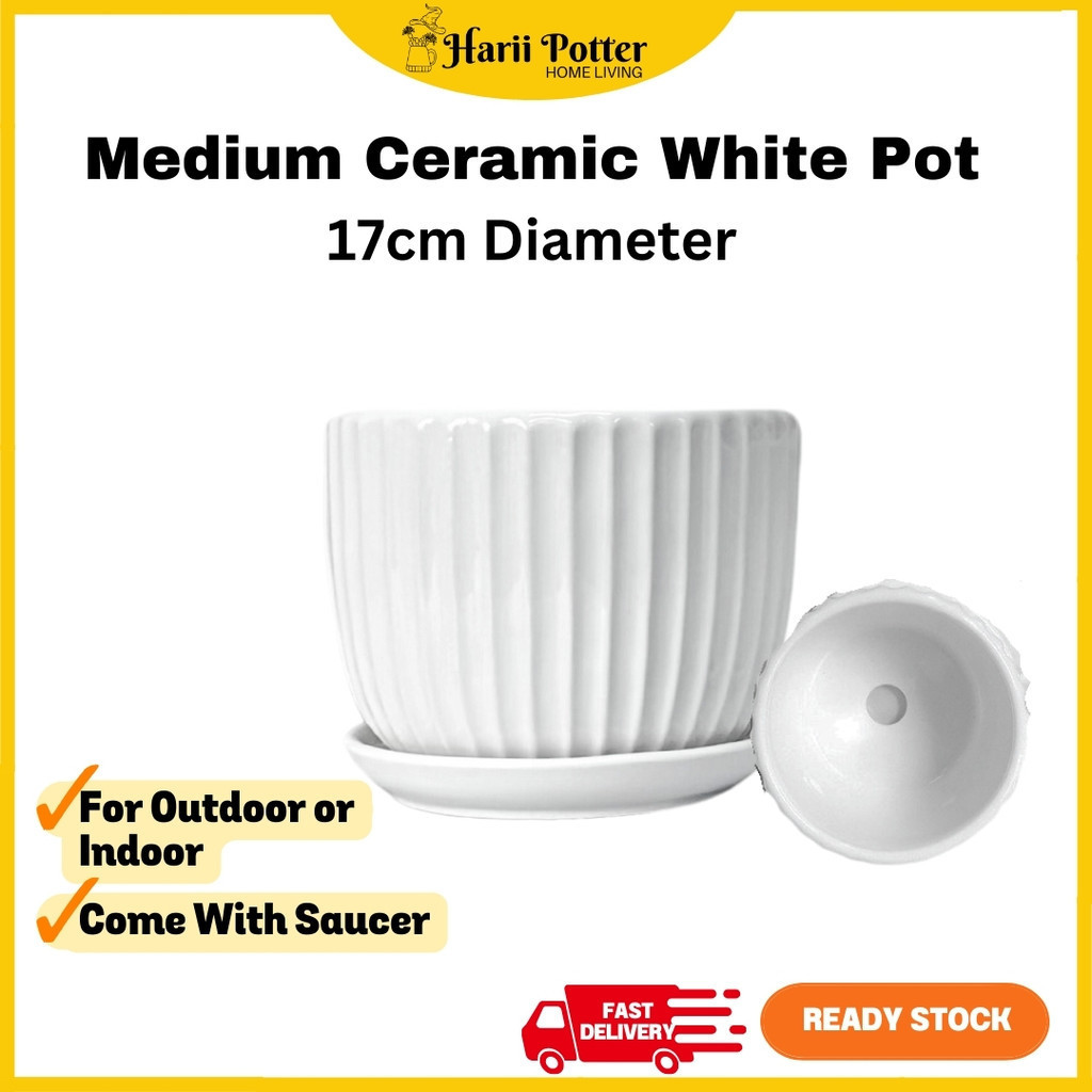 Ceramic Classic White Pot Series With Saucer Medium Pasu Putih Pasu ...