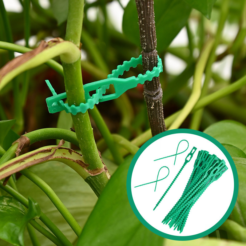 Self-locking Plastic Tie Adjustable Plastic Plant Cable Tie Reusable ...