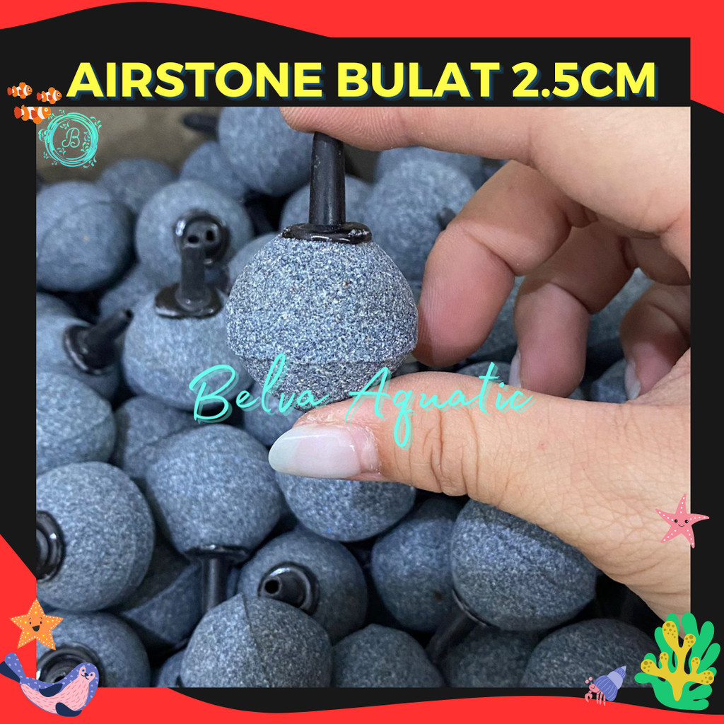 Airstone Round Meatballs 2.5cm Air Stone Ball Aeration Stone Aerator ...