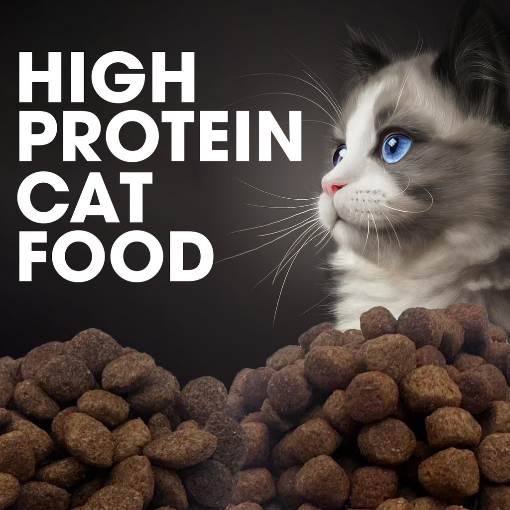 【Flash Sale】40% Protein High Protein Cat Food Kibble Kucing Makanan ...