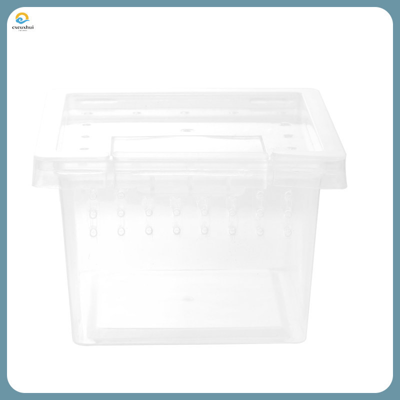 Pet Feeding Station Insect Rearing Box Animals Sea Turtle Reptiles ...