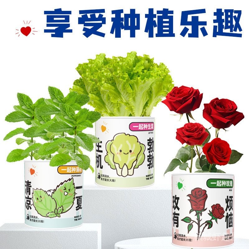 【Creative Kids' Gift】Tin Can Plant Blind Box, Mini Desktop Planter ...