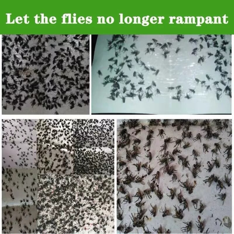 10Pcs Gam lalat Pelekat serangga Sticky Trap Flies Trap Insect Stick ...