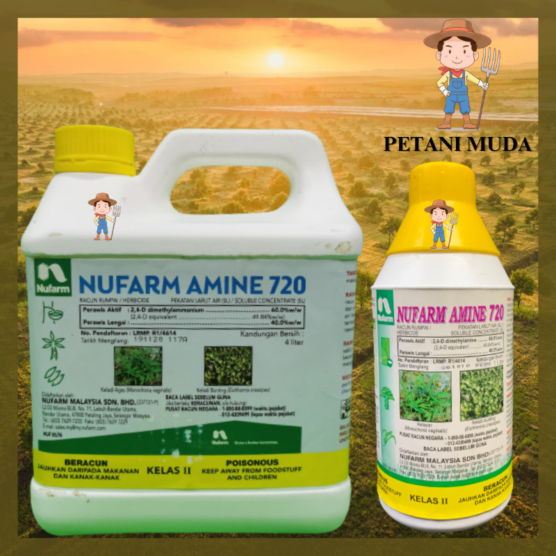 [ORIGINAL] 1L 4L AMINE 720 NUFARM /Rumput Sambau/Herbicide/Keladi Agas ...