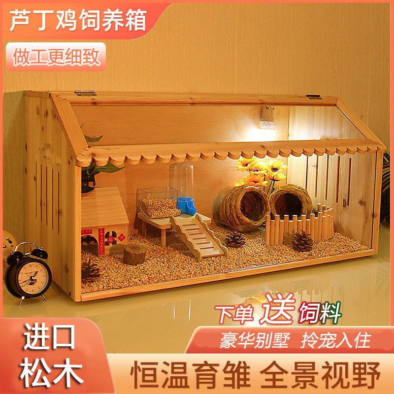 hamster house hamster hamster bedding Ludin Chicken Breeding Box Full ...