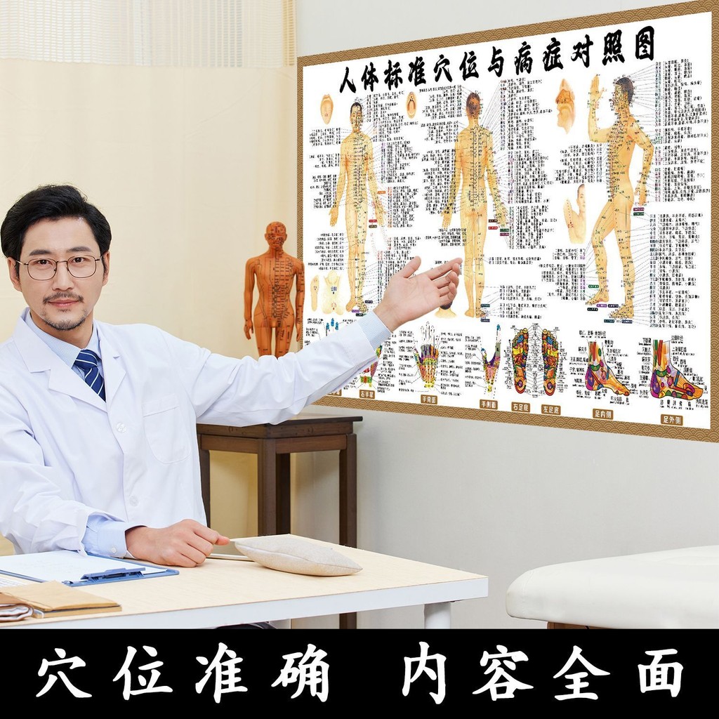 Human Body Meridian Acupoint Poster Chinese Medicine Store Wall Chart ...
