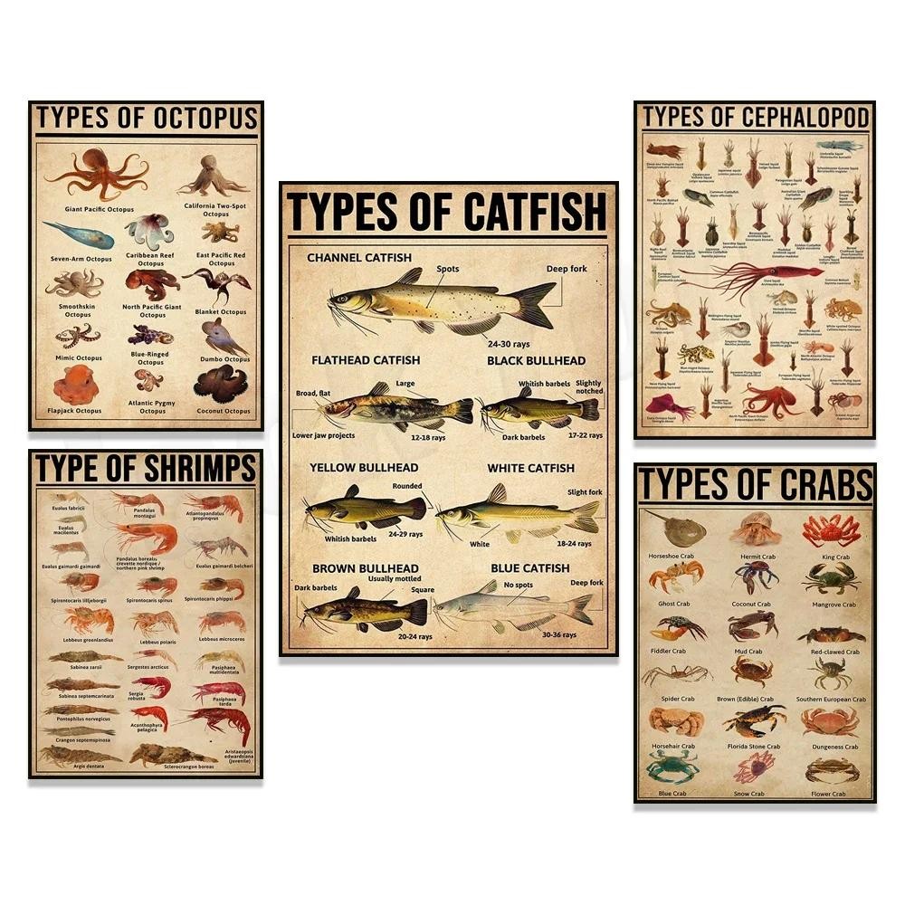 Cetak pengetahuan haiwan laut: ikan keli, sotong, kepiting, udang ...