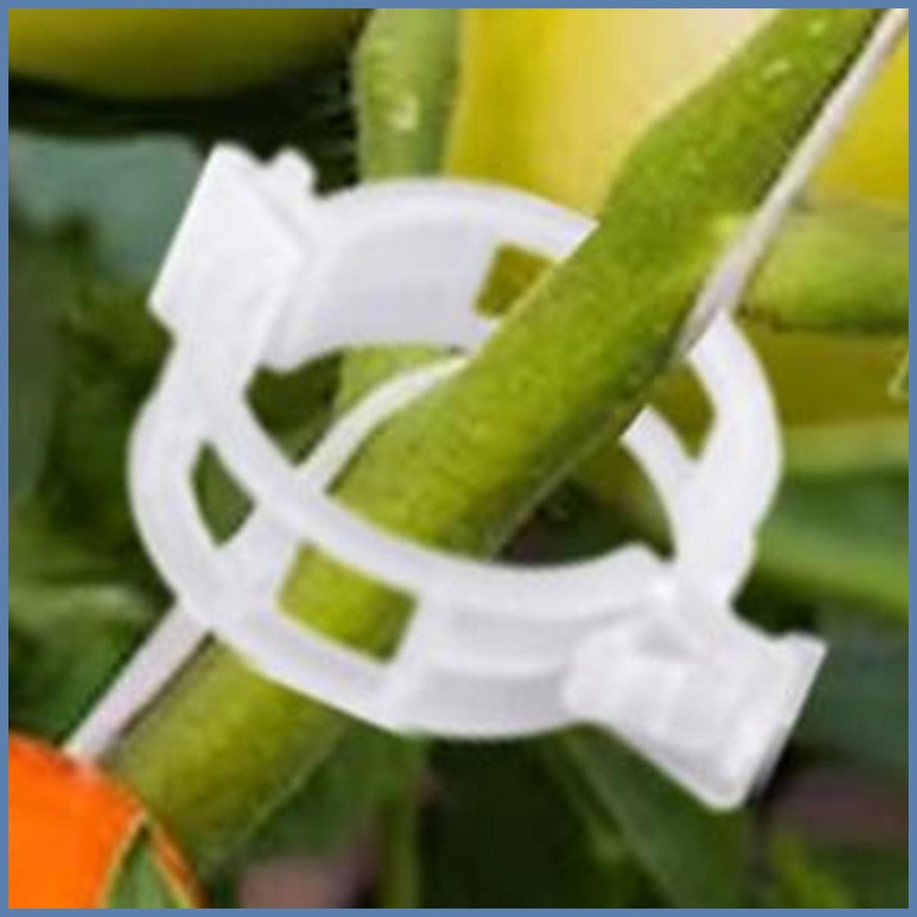 Plant Clips for Support Climbing Clamps for Seedling Effective Plant ...