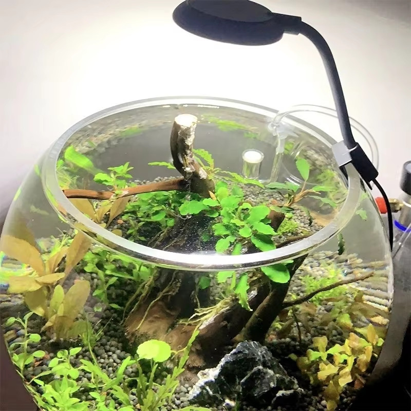 Aquarium light Aquarium LED light festival can small and medium-sized ...