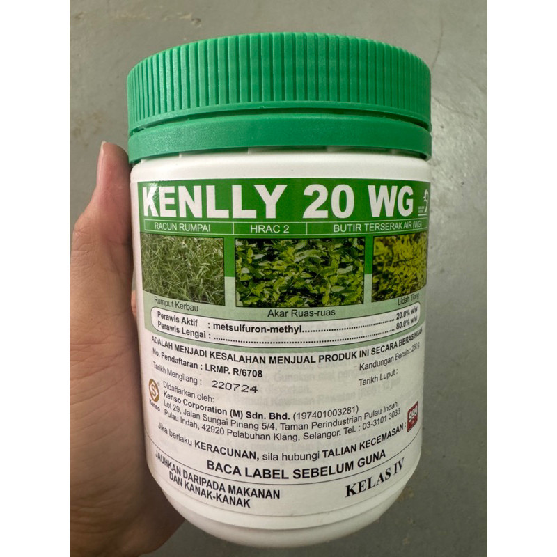 [ORIGINAL] 250G KENLLY 20WG Kenso (Sama Ally) Anak Kayu/Anak Pokok ...