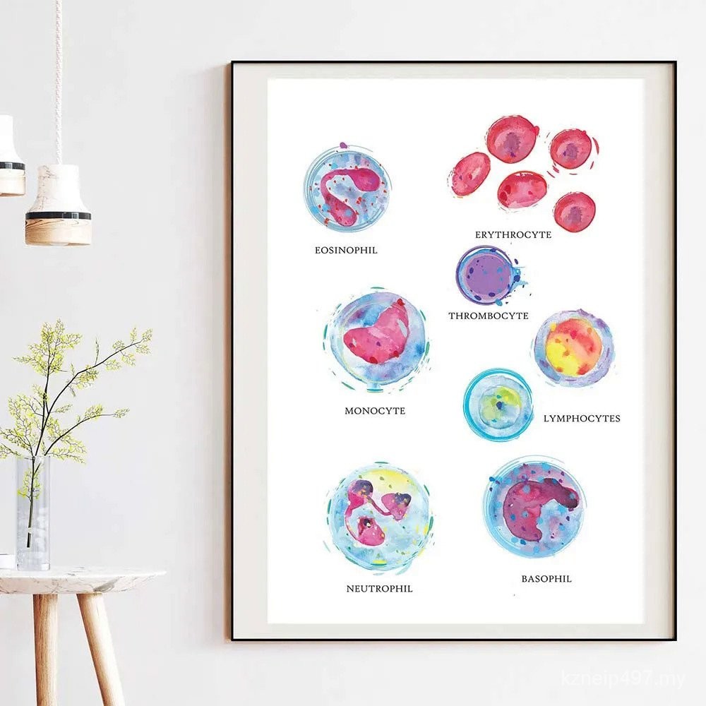 Physician Blood Cell Anatomy Wall Art Physician Canvas Print Watercolor ...