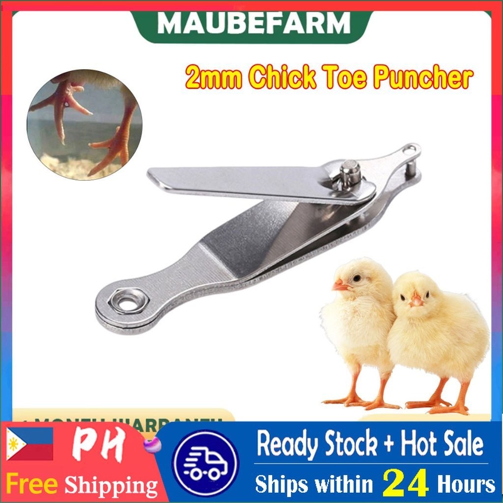 2mm Stainless steel Toe Puncher for Chicks Gamefowl Rooster Puncher ...