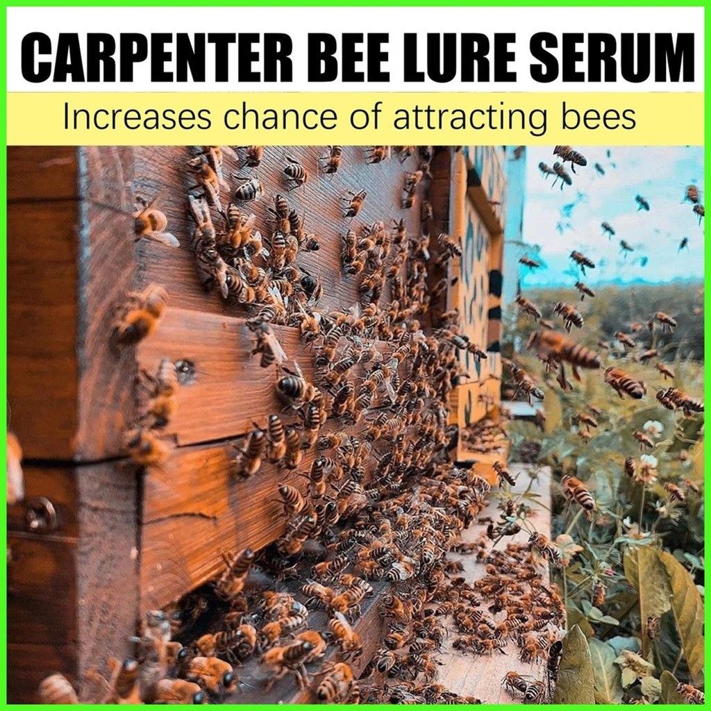 Carpenter Bee Natural Multipurpose Bee Attractant 100ml Effective User ...