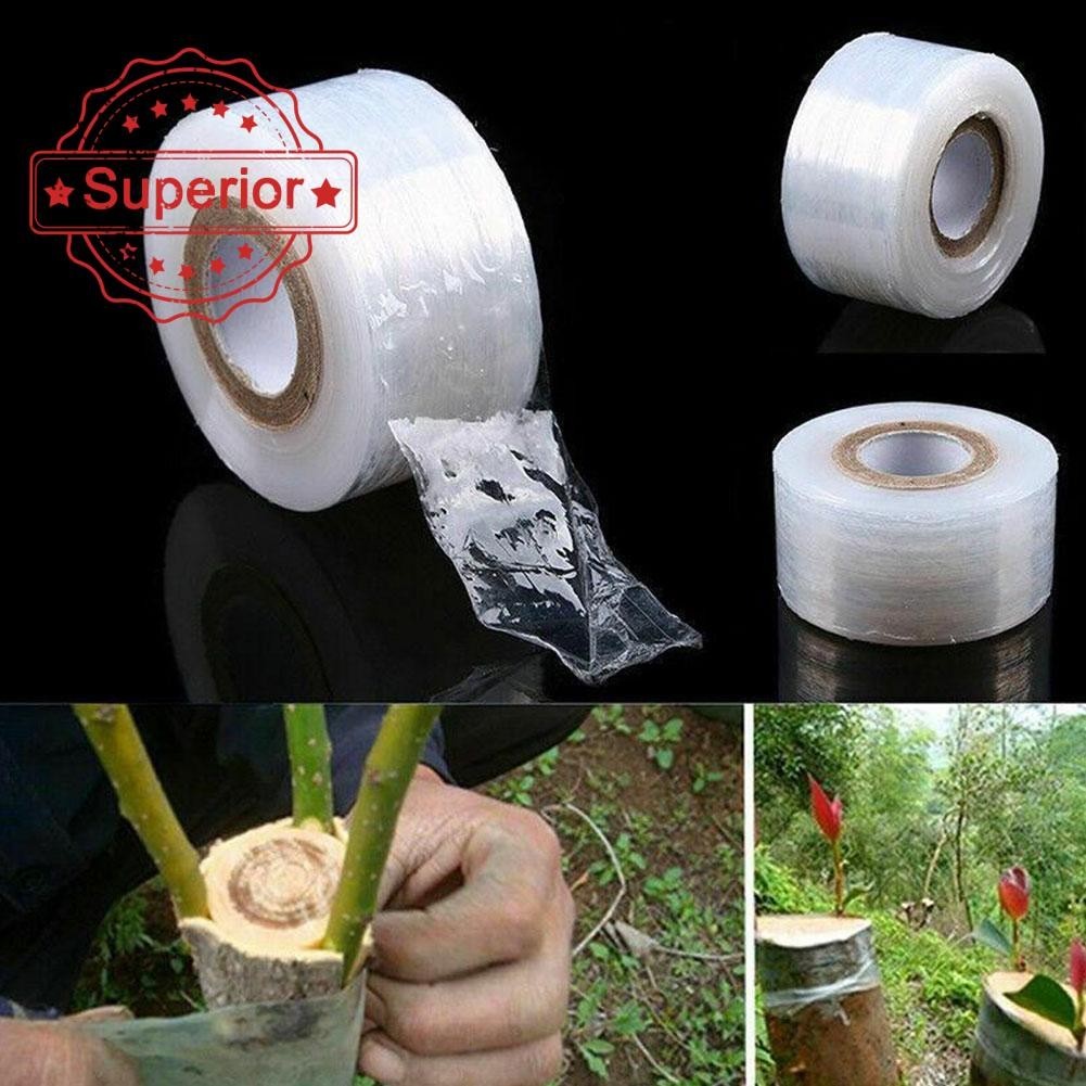 Eco Pita For Sustainable Gardening With Biodegradable Plants Stretchy ...