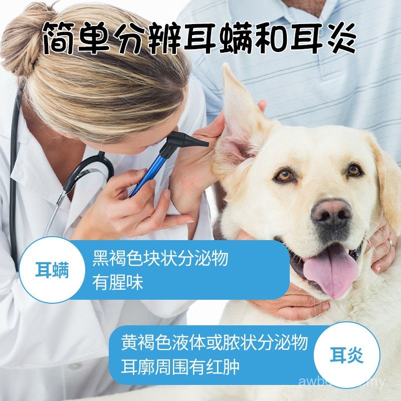 Pate Angel Ear Drops Pencuci Telinga/Penyelesaian Telinga/Minyak ...