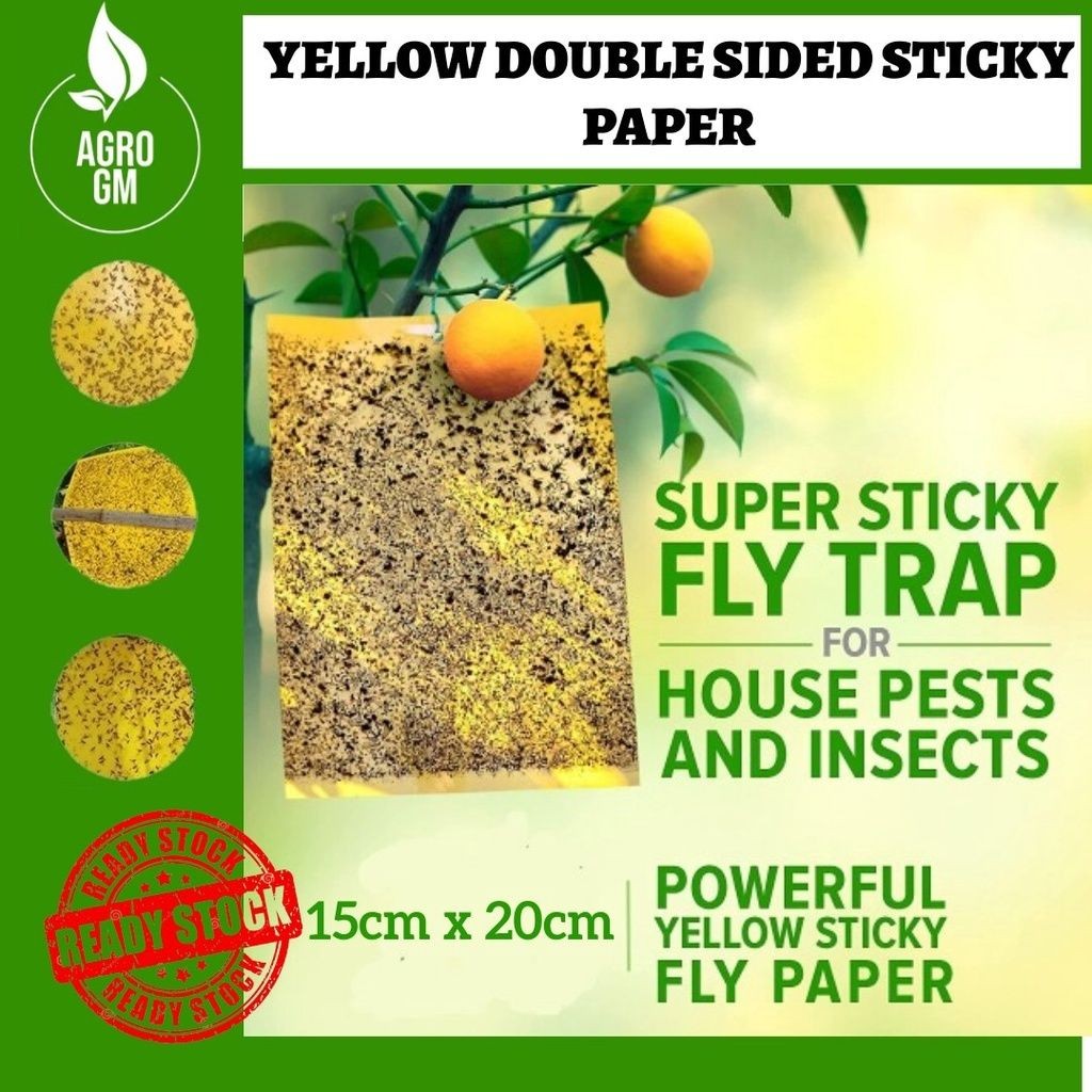 Yellow Sticky Trap 15x20cm Double Sided Insect Sticker Board Pelekat ...