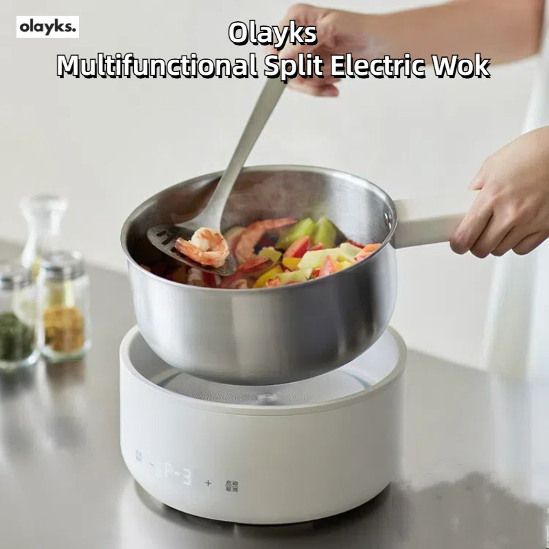 Olayks All-Steel Uncoated Electric Cooker 2.5L Split Stew Pot OLK-01-16 Household ...