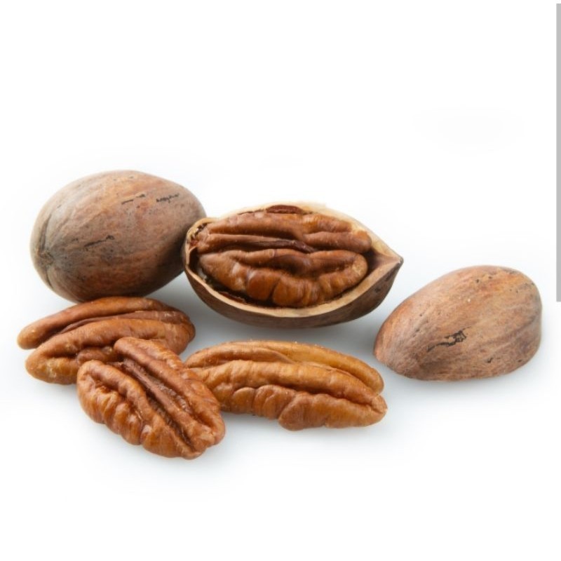 Fresh Pecan Nuts Usa (Grade AAA) | Shopee Malaysia