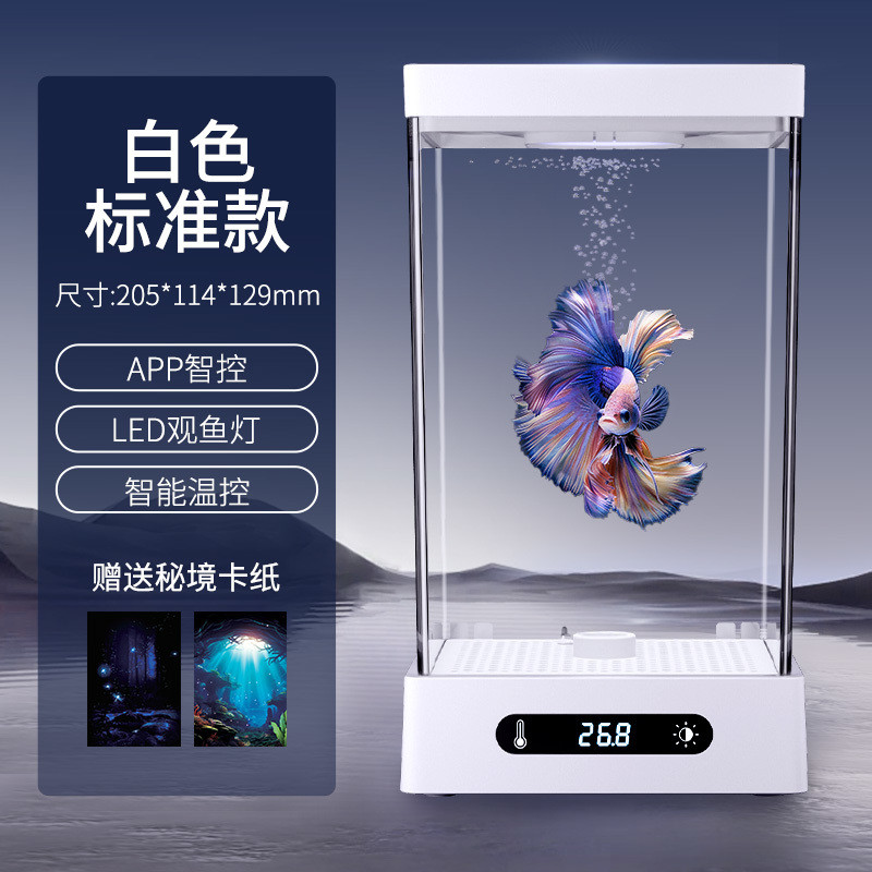 Betta Thailand Dedicated Desktop Square Inch Integrated Fish Tank ...