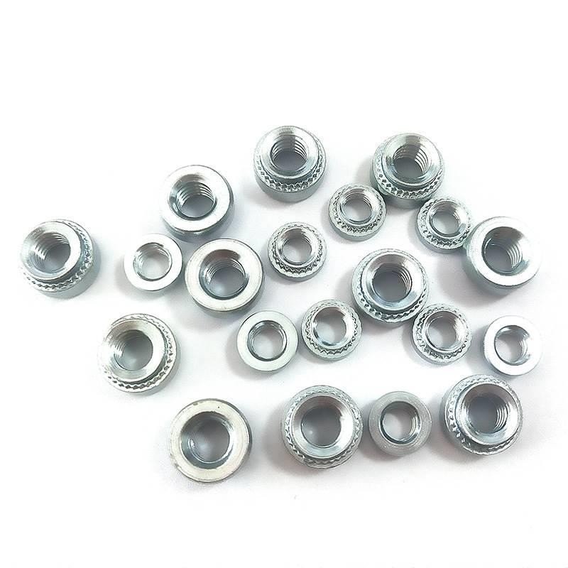 Factory Supply Flower Galvanized Flat Press Rivet Nut Round Press Press ...