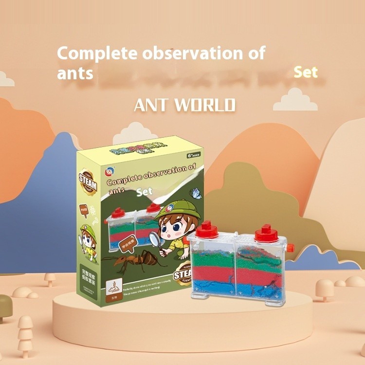 Ant Observer Insect Children Learning Educational Toys Ant Nest Box ...