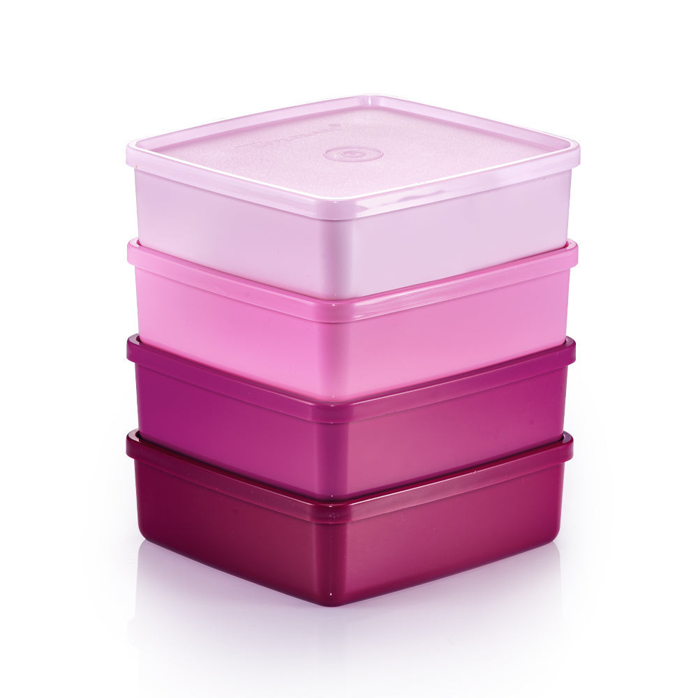 Tupperware Large Square Away (4) 620ml | Shopee Malaysia