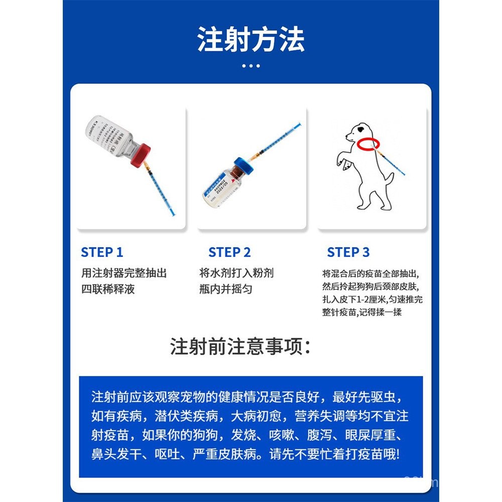 Vaksin Rabies Intervet Quadrivalent yang diimport untuk Anjing, Pakej ...