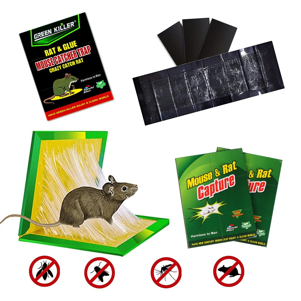 Super Glue Board Traps Rat Eliminator Mouse Trap | Shopee Malaysia