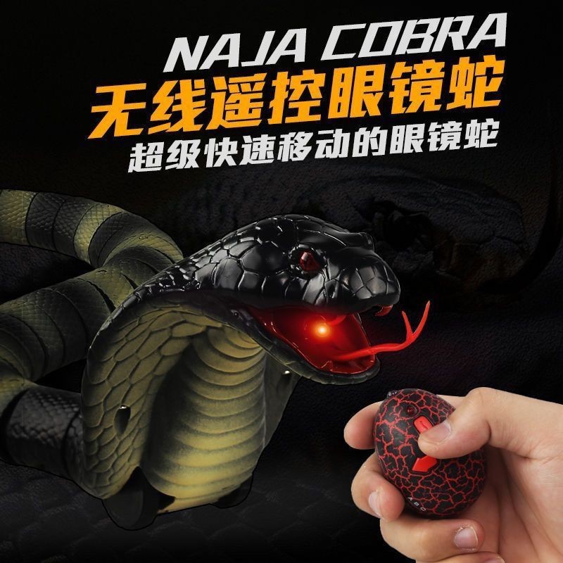 Cobra Simulation Remote Control Sidewinder Electric Cockroach ...