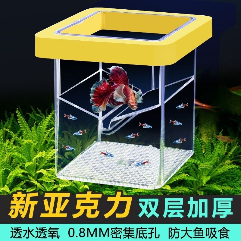 Fish Isolation Box, Acrylic Transparent Floating Hatching Box, Guppy ...