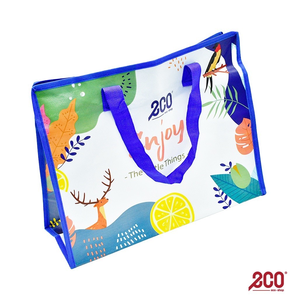 Eco Shop Non Woven Bag with Zip (38cm x 13cm x 30cm) - AC-L007-T02-06 - AC-L007-T02-06 | Shopee ...