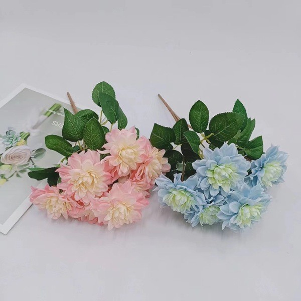 pokok bunga hidup bunga telur bunga tangan pengantin Single Dahlia ...