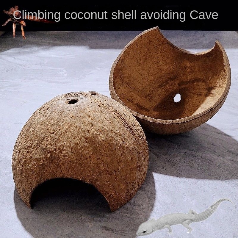 hamster accessori Natural Coconut Shell Hide Gecko Lizard Spider Snake ...