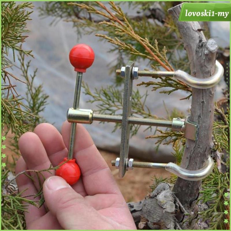 [LovoskibcMY] Bonsai Branch Bender Bonsai Twig Trunk Adjuster Bonsai ...