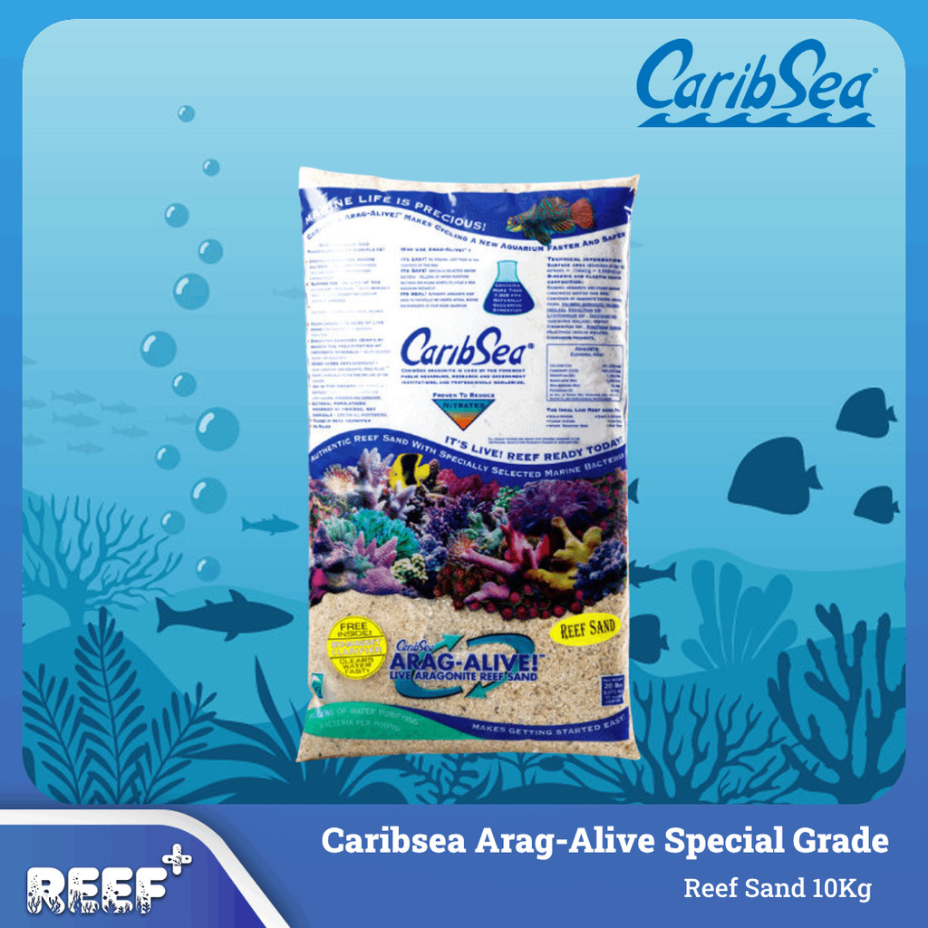 Caribsea Arag-Alive Special Grade Live Aragonite Reef Sand - Sea ...