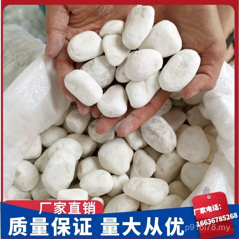 xi 20kg White Stone Pebble Stone Paving Rough Stone Courtyard ...
