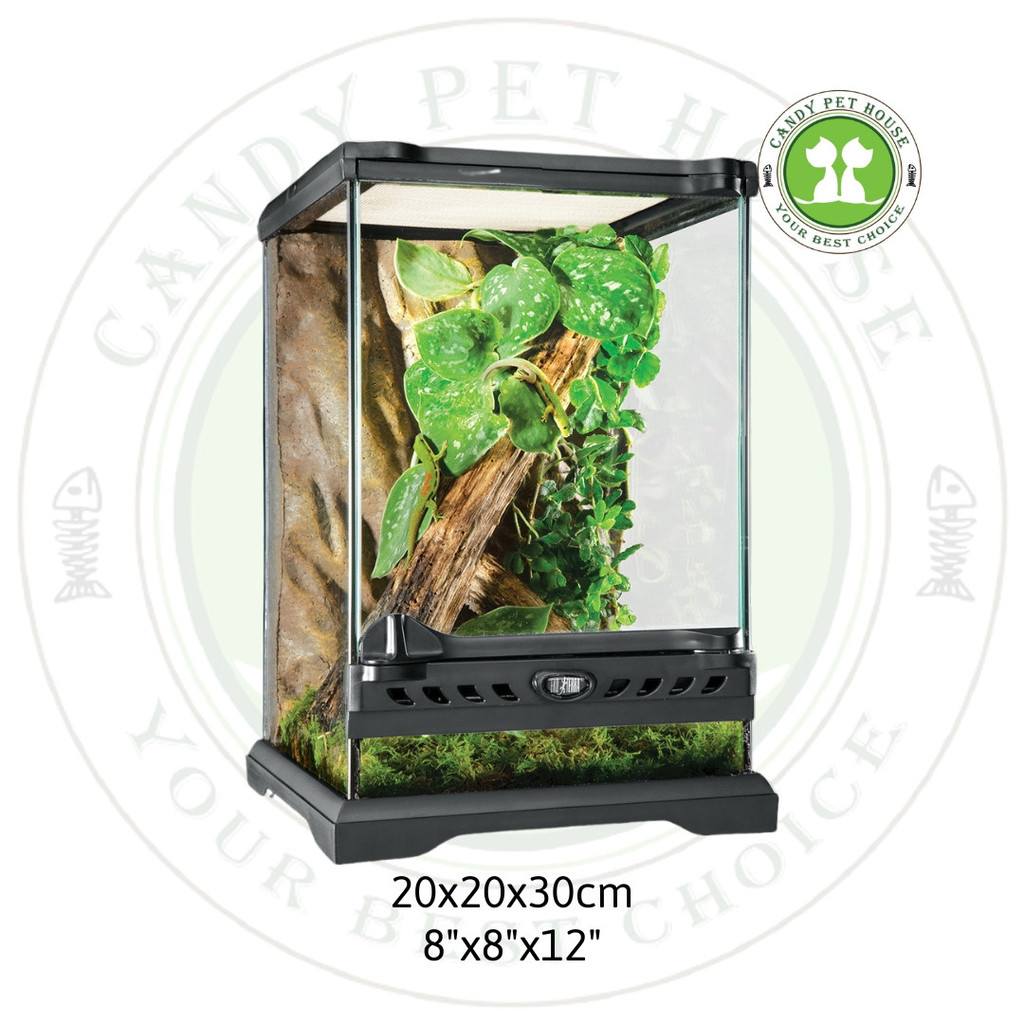 Exo Terra / Exoterra Natural Terrarium Nano TALL Advanced Glass Reptile ...