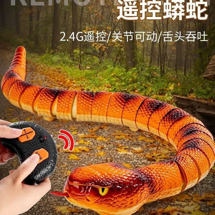 Toys Ready Stock Cat toys Simulation Sensor Ladybug Remote Control Eye ...