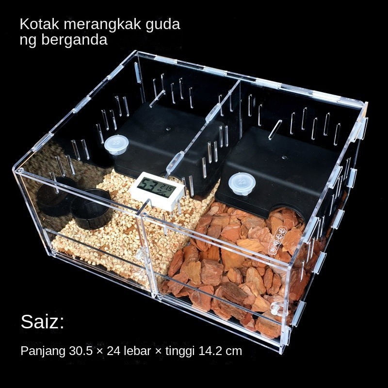 Kotak Pembiakan Reptilia Kotak Pembiakan Tokek Bertanduk Katak Penyu ...