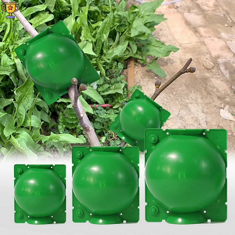 Plant high-pressure box cutting grafting rooting device box high ...